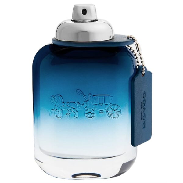 COACH BLUE FOR MEN EDT 100ml (Coach) (Hombre) - Perfumes de lujo ...